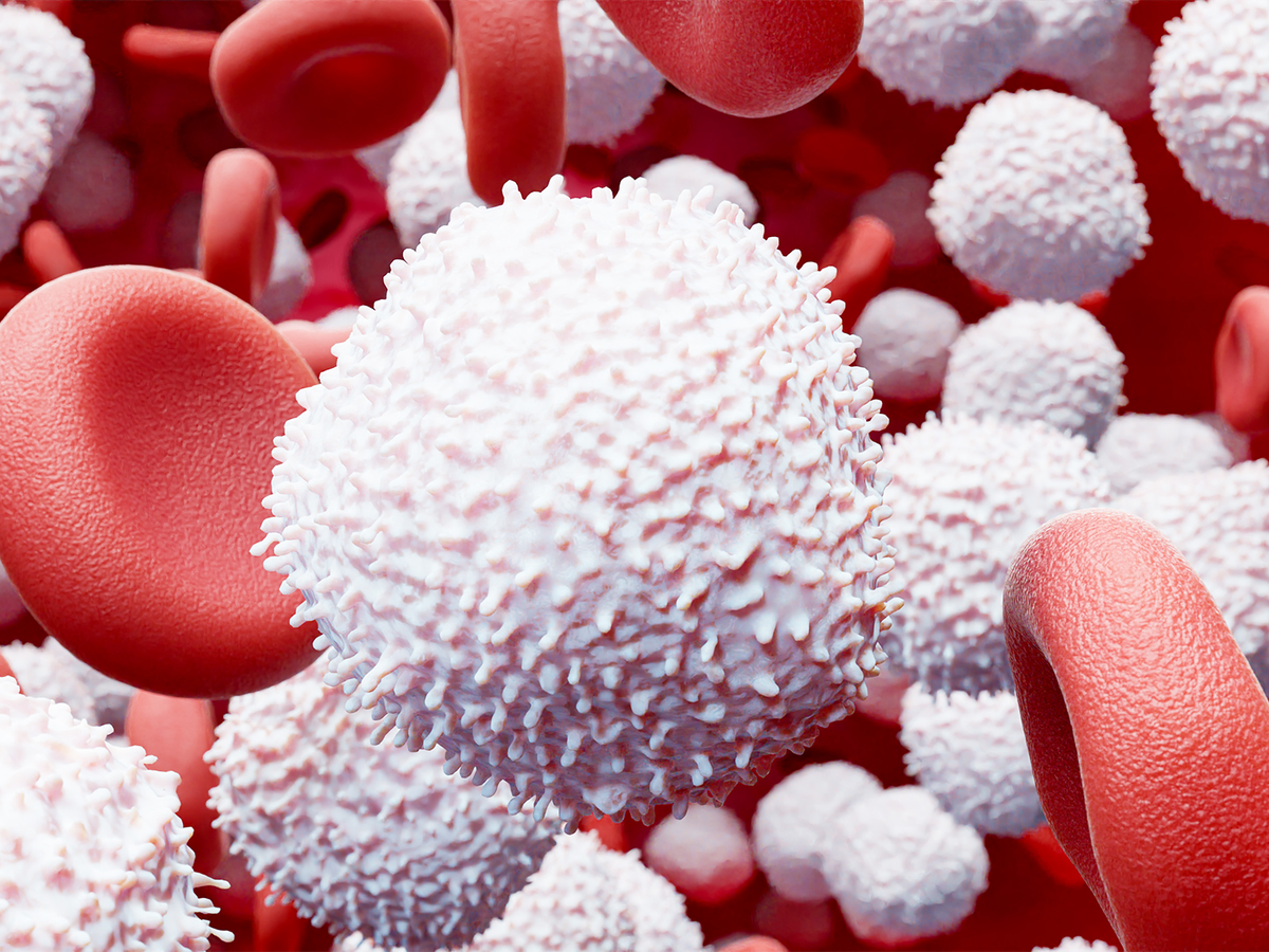 IMUGARD WB PLT Platelet Pooling Set